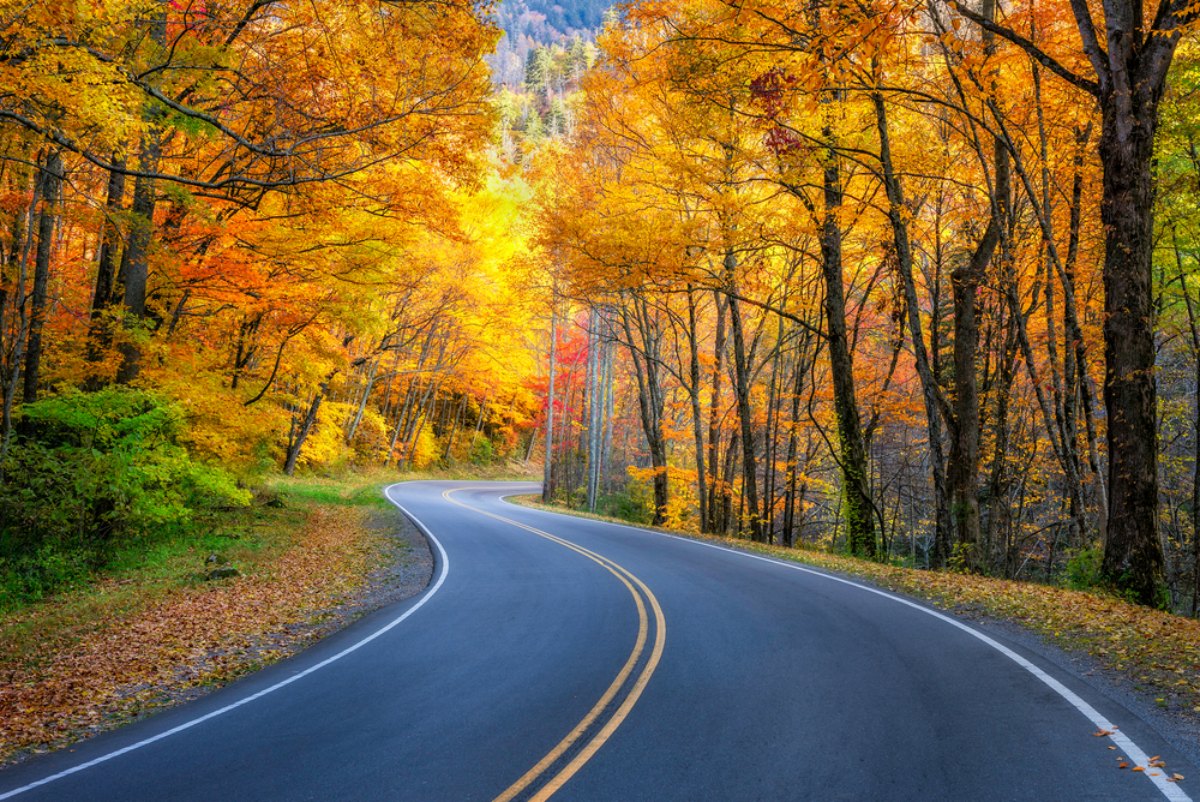 Best Fall Foliage Drives In The U S Best Fall Foliage Drives In The U S